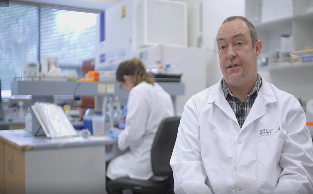 As seen in the media: Leading scientist reveals CurraNZ is THE best pe ...